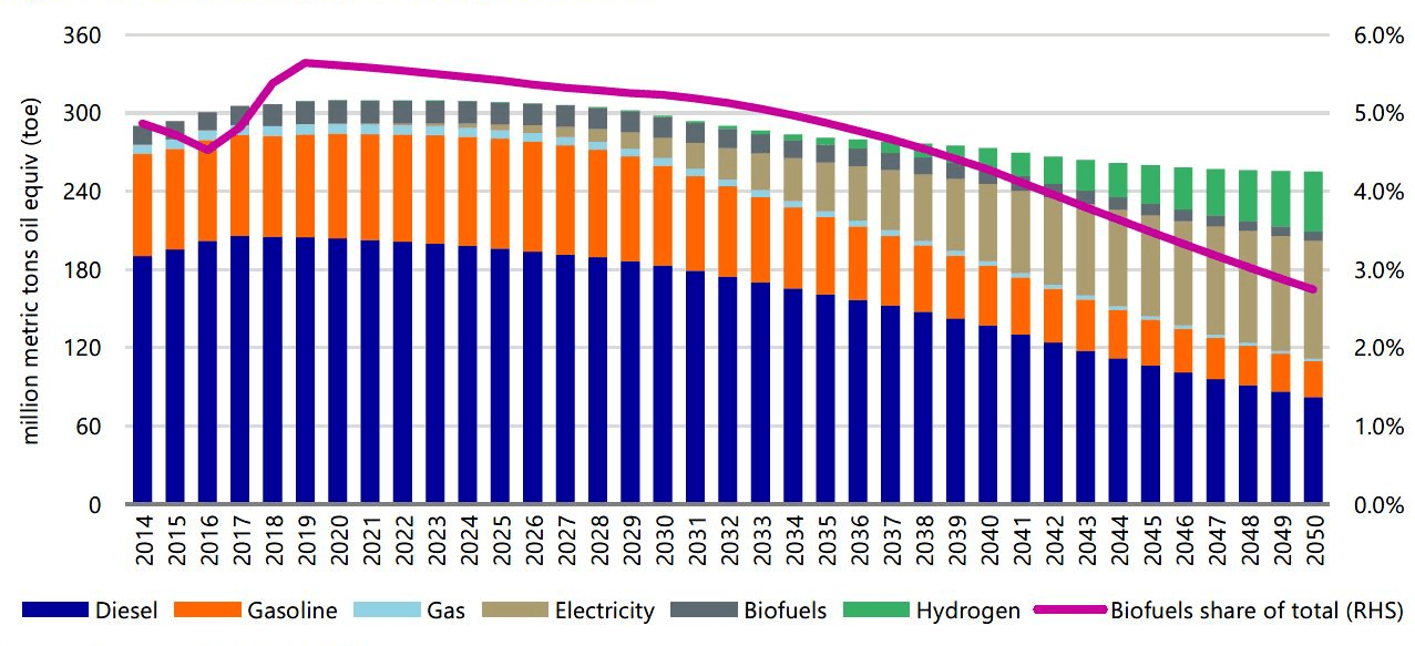Is there a future for Biodiesel in Europe - BDI-BioEnergy International